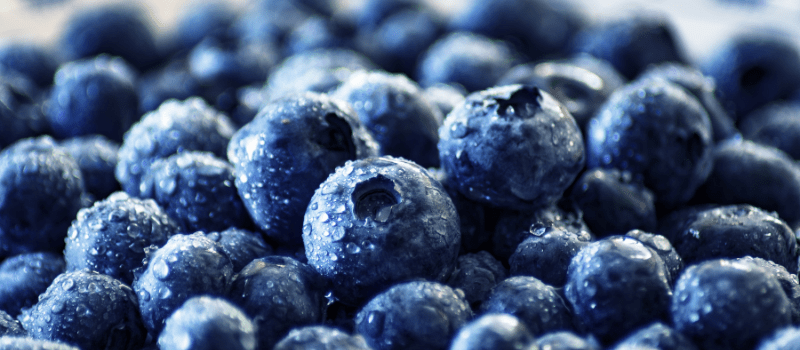 Frambozen En Blauwe Bessen Toetje? Met Romige Slagroom Erin Verwerkt!